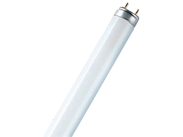 36W Daylight Triphosphor Fluorescent Tube - ANL Lighting
