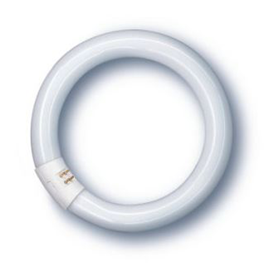 22W T8 Circular Fluoro 4K 4PIN G10Q - ANL Lighting