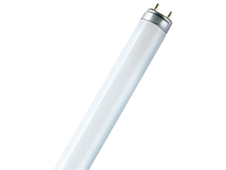 36W Daylight Triphosphor Fluorescent Tube - ANL Lighting